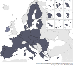 2024 EU Elections: results by country in charts and maps